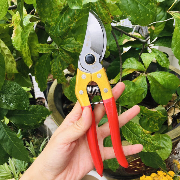 Kéo cắt cành, cắt trái cây đa chức năng mỏ quạ cán vàng đỏ 200mm KCC-14 - Công cụ Bonsai Đà Nẵng