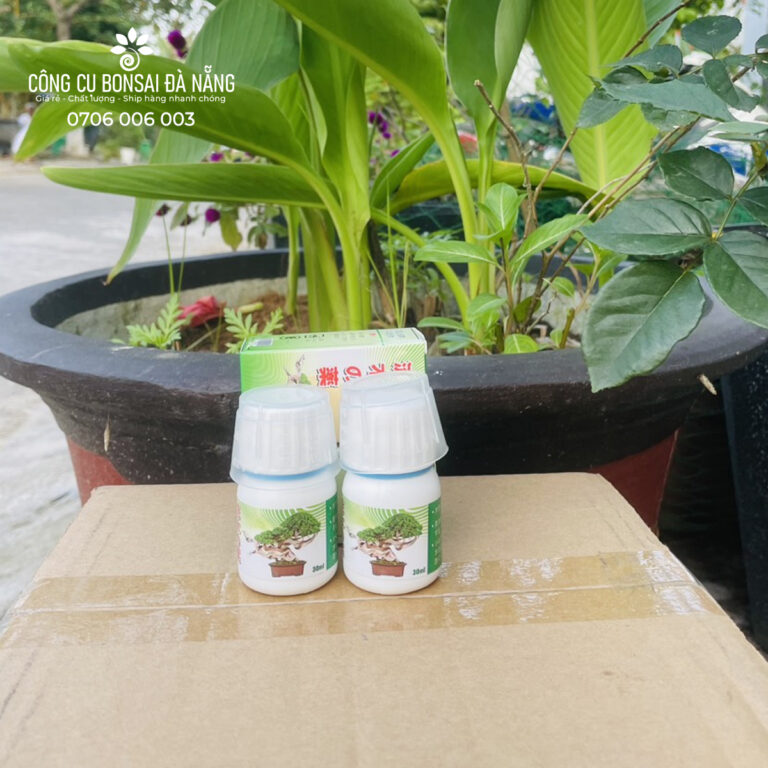 Thuốc bôi lũa cây Nhật Bản Lime Sunfur tạo lũa trắng ngà đẹp, tránh mối mọt LBS-01 - Công cụ ...